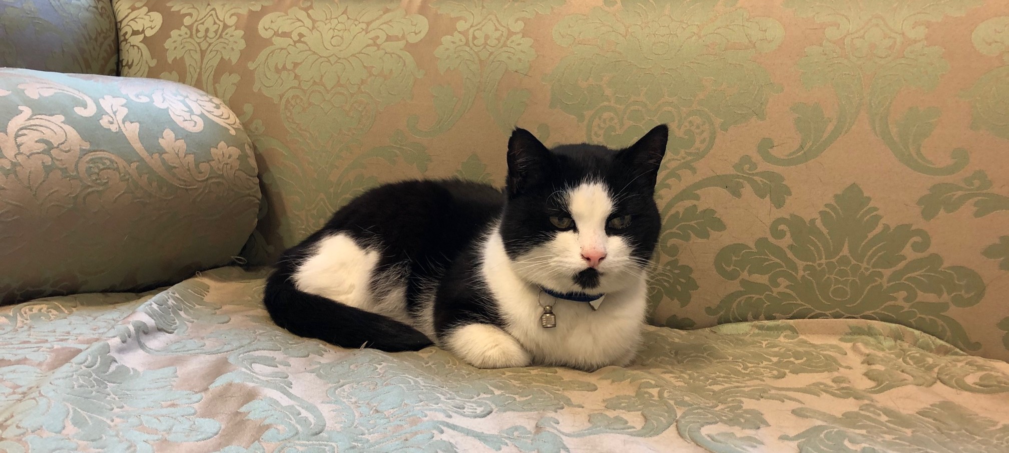 Frühjahrnovitäten mit Mike Altwicker